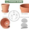 Amazon.com: Orceler 6 inch Terracotta & Clay Pots for Plants with ...
