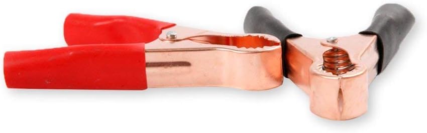 Amazon.com: DCFun 50-Amp Copper Alligator Clips Terminal Test ...