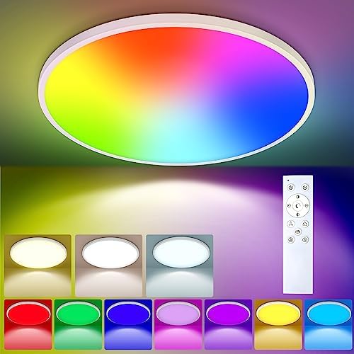 HAUSPROFI LED Ceiling Light Dimmable with Remote Control, 24 W RGB ...