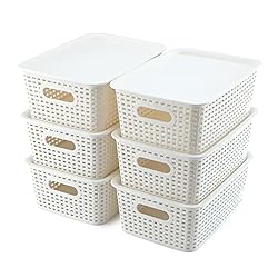 Amazon.com - AREYZIN Plastic Storage Baskets With Lid Organizing ...