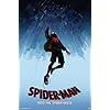Amazon.com: Marvel Spider-Man: Into The Spider-Verse - Falling Wall ...
