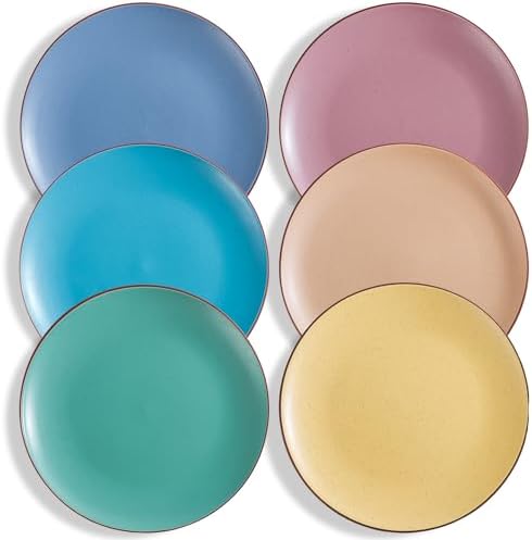 Amazon.com | Esfour Ceramics Dinner Plates 11 Inch Set of 6 - Microwave ...
