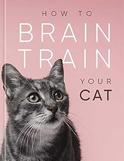 Cat Vs Human Brain: Unveiling Intriguing Similarities And Differences ...