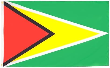 Amazon.com : AZ FLAG - Guyana Flag - 3x5 Ft - 100D Polyester Guyanese ...