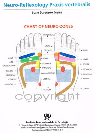 NEURO-FOOT REFLEXOLOGY CHART OF NEURO-ZONES, A3 by Lone Sorensen Lopez: Amazon.co.uk: Lone ...