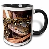 ・ブランド:3dRose・製造元:3dRose・モデル:mug_83979_4・製造元/メーカー部品番号:mug_83979_4・ホワイトセラミック製・両面に画像・高光沢仕上げ・11オンスと15オンスを使用・リードが含まれない