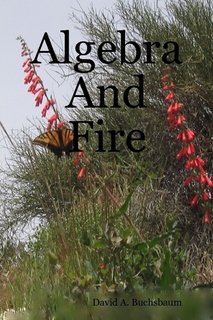 Algebra And Fire: David A. Buchsbaum: Amazon.com: Books