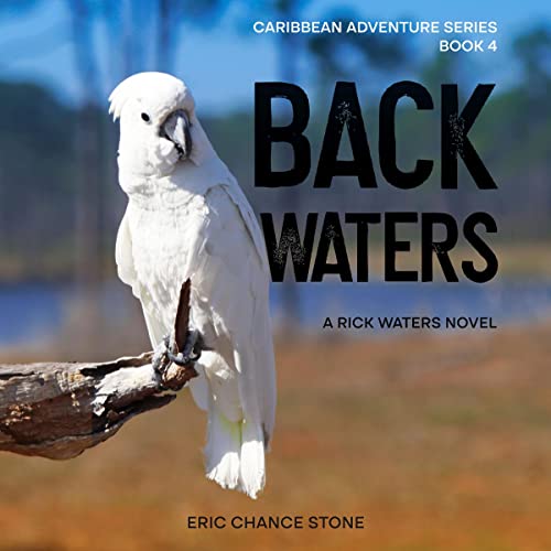 Amazon.com: Back Waters: A Rick Waters Novel: Caribbean Adventure ...