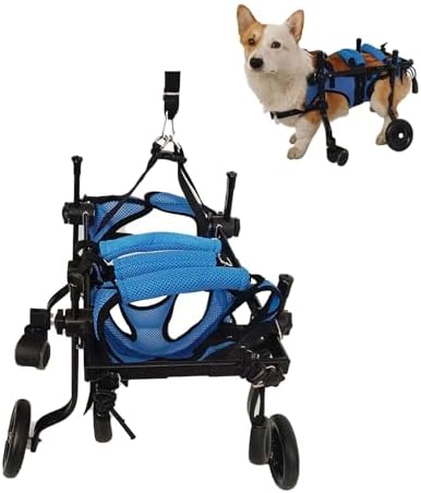 Adjustable Dog Wheelchair for Small Dogs & Cats 4-Wheel Mobility Aid ...