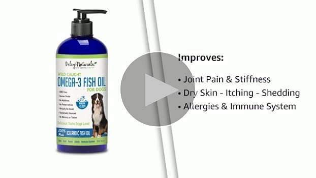Does Fish Oil Help With Dog Shedding
