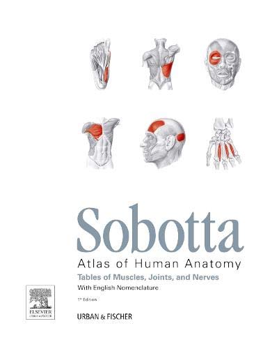 Sobotta Tables of Muscles, Joints and Nerves, English: Tables to 15th ...