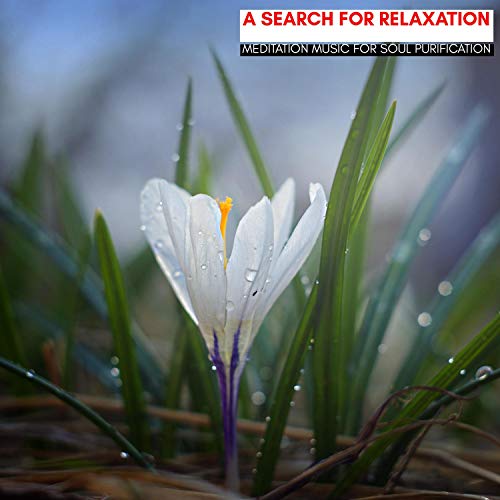 A Search For Relaxation - Meditation Music For Soul Purification de ...