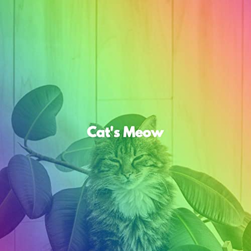 Play Cat's Meow by Cats Music Den on Amazon Music