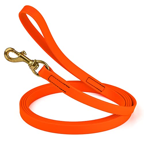 Dog Long Line – The 15 best products compared - Wild Explained