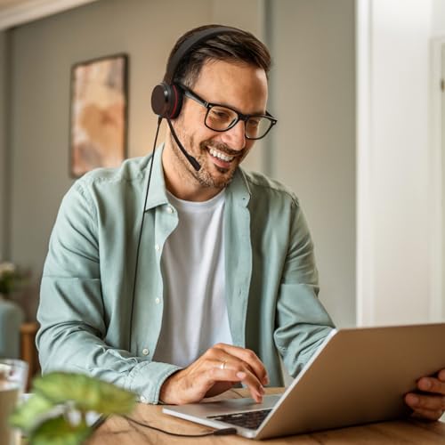 Jabra Evolve 20 Stereo Headset with noice canceling mic, Connect to ...