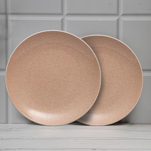 Buy Anko Marble Look Stoneware Dinner Plates - Set of 2 | Premium ...