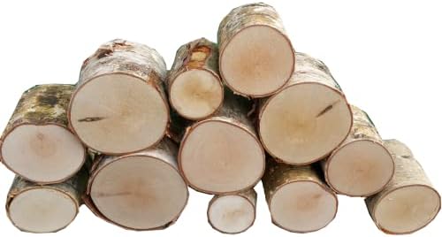 Round Logs for Decoration - Birch - 20cm Long - Covers 30cm x 40cm (0. ...