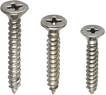 Stainless Steel Rust Free CSK Philip Head Screw Industrial Use Size: 25 ...