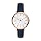 Amazon.com: Fossil Women's Jacqueline Quartz Stainless Steel Mesh Three ...
