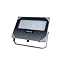 Philips 100-Watt LED Flood Light | BVP175 LED110 Frosted Glass Flood ...
