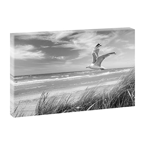 Strandbilder Leinwand – Die 15 besten Produkte im Vergleich - BetterFamily