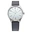Titan Neo Iv Analog Silver Dial Men's Watch-1802SL01 / 1802SL01 ...