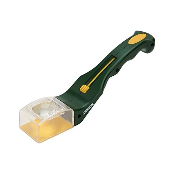 Carson BugView 5x Magnifier Quick-Release Bug Catching Tool, Stem ...
