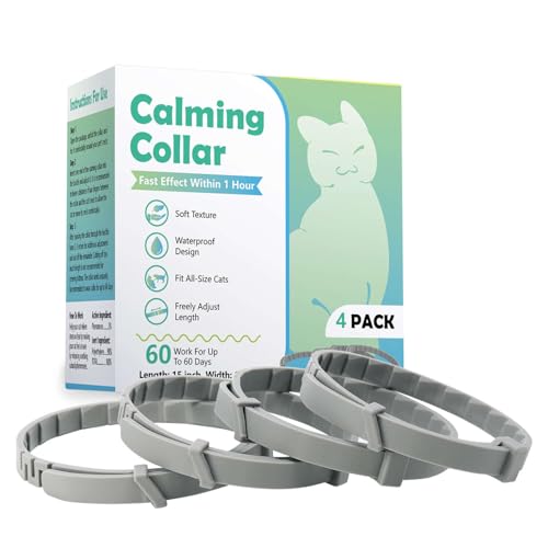 Cat Calming – The 15 best products compared - Wild Explained