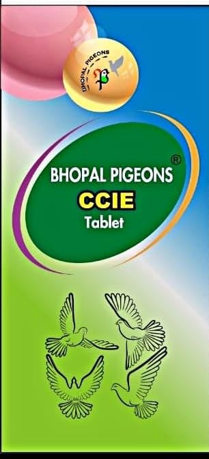 Bhopal Pigeons CCIE Tablets, 50 Tablets Box, for Coccidiosis ...