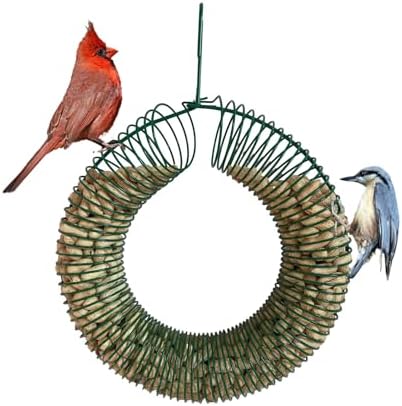 Amazon.com : ZUMILLMN Outdoor Hanging Peanut Garland Bird Feeder ...