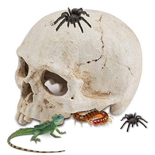 Aufeeky Halloween Human Skull Reptile Hide, White Reptile Hides and ...