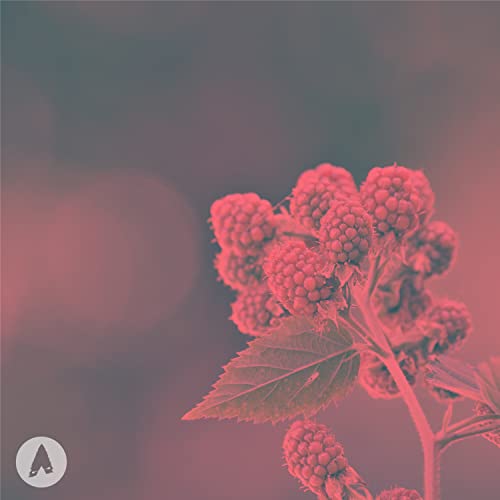 Amazon.co.jp: Raspberry : Heavy Blink, Lafken: デジタルミュージック