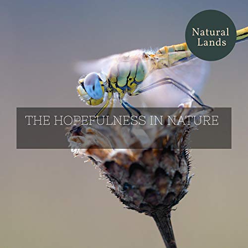 Amazon Music UnlimitedでEugene RobertのThe Hopefulness in Natureを