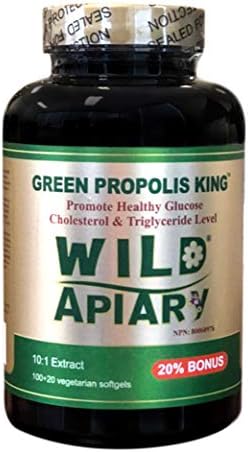 Amazon.com: Wild Apiary Brazilian Green Bee Propolis King Vegetarian ...