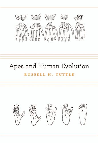 Evolution Of Human Hand