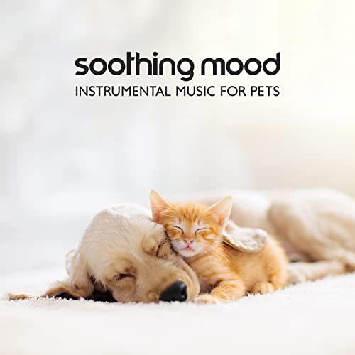 Soothing Mood (Instrumental Music for Pets, Dog and Cat Nap, Anti ...