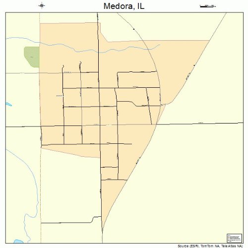 Large Street & Road Map of Medora, Illinois IL - Printed poster size ...