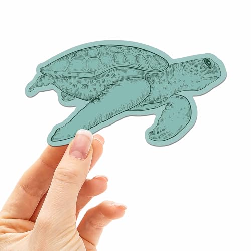 Amazon.com: Green Sea Turtle Sticker for Hydroflask - Cute Beach Animal ...