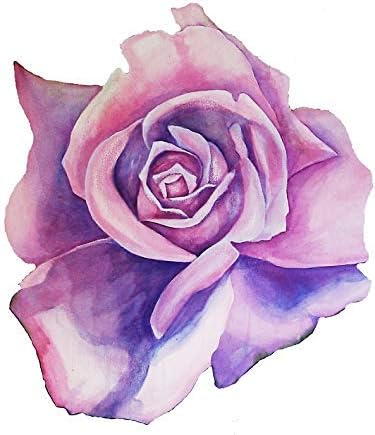 Amazon.com: MR3Graphics Magnet Blue Moon Rose Magnetic Car Sticker ...