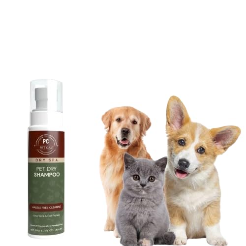 Buy PETCAST Pet Dry Shampoo for Instantly Clean and Fresh Fur ...