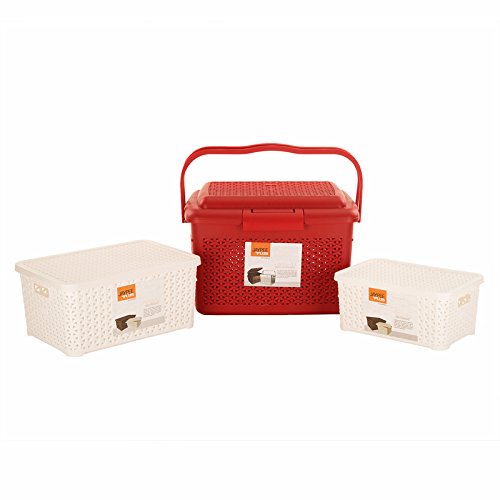 Jaypee plus Carry All Basket, Keep All Big & Small, Multicolor (Pack of ...