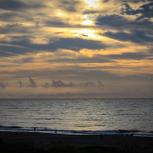 Play Rise by Michael A Johnson on Amazon Music Unlimited