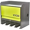Amazon.com: RYOBI RHWS-01 Wall Mounted Cabinet with Door, Yellow, Grey ...