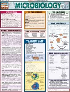 Amazon.com: Microbiology, Laminated Guide : Office Products