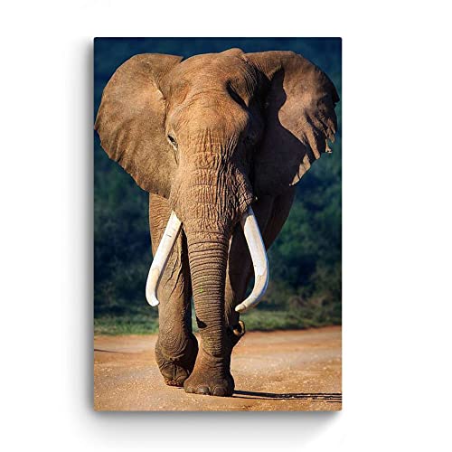Glasbild Elefant – Die 15 besten Produkte im Vergleich - Elternchecker