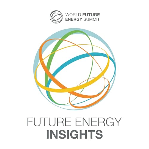 Amazon.com: Future Energy Insights : World Future Energy Summit: Books