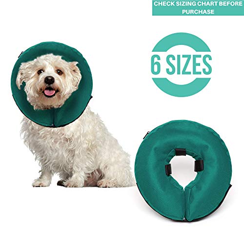 Buy ProCollar Protective Inflatable Recovery Collar for Dogs and Cats ...