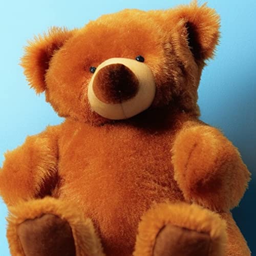 Amazon MusicでSalnikのTeddyを再生する