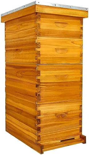 Amazon.com : Honey Keeper Beehive 20 Frame Complete Box Kit (10 Deep ...