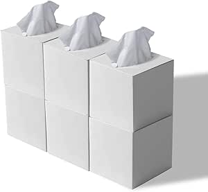 Nice Touch Facial Tissue - 2-Ply X 6 Cube Boxes of 100 Sheets Each ...